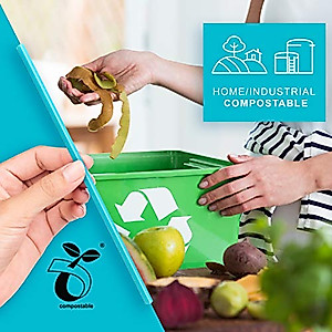 Phade 8.5" Giant Compostable Biodegradable Eco Straws, 300 Count, Individually Wrapped, For Cold Drinks Only