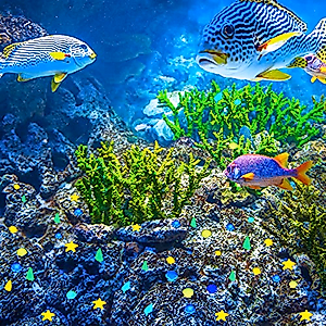 340 Pieces Aquarium Glowing Stones Multi-Colored Sea Shells Decorative Pebble Stones Tank Decorations Rocks Glow in The Dark for Swimming Pool Garden Fish Tank and Aquarium