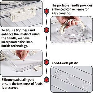 Snack Box Snackle Container Containers Organizer Divided Serving Tray Bag Accessories Vegetable Food Storage Ice Chilled Compartment Snackbox Caddy Fridge Salad Bar Adult Nut Snackable Toppings