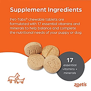 Pet-Tabs Multivitamin and Mineral Supplement for Puppies and Dogs of all Life Stages, Chewable Tablet, 180 Count Bottle