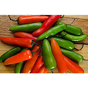 Espoma Organic Garden-Tone 3-4-4 Organic Fertilizer for Cool & Warm Season Vegetables and Herbs. Grow an Abundant Harvest of Nutritious and Flavorful Vegetables – 18 lb. Bag