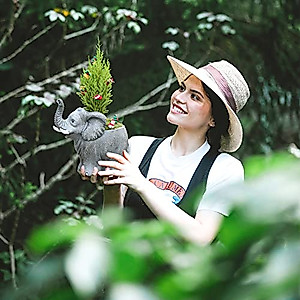 Ylncicn Elephant Planter Succulent Pots Retro Flower Pots. Elephant Gifts for Women. Aunt Garden Yard Flower Succulent Bonsai Bed Trough Plant DIY Pot Home Desktop Decoration