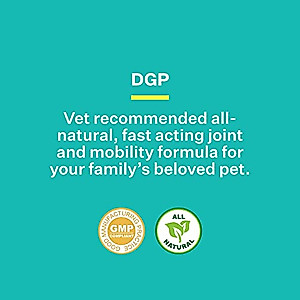 American BioSciences DGP, Joint Supplement for Dogs - Joint Support with Turmeric, Boswellia Extract & More - Quick Effect for Immediate Mobility Support - 60 All-Natural Chewable Pet Tablets (2 Pack)