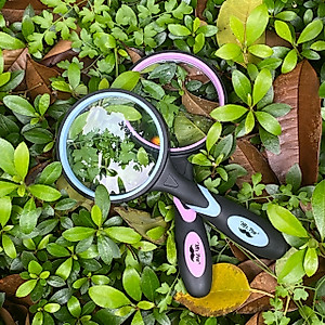 Mr. Pen- Magnifying Glass, 2 Pack, 10X Magnifier, 75mm Glass Lens, Magnifying Glass for Kids and Adults, Handheld Magnifying Glass, Magnifier for Reading, Magnifying Glasses for Close Work