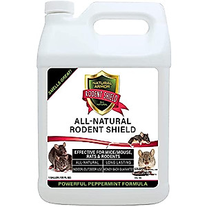 Natural Armor Peppermint Repellent for Mice/Mouse, Rats & Rodents. Natural Spray for Indoor & Outdoor Use Rodent Shield - 128 Fl Oz Gallon Refill, Case of 4