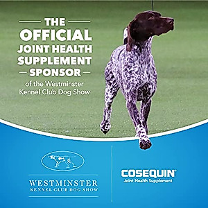 Nutramax Cosequin Maximum Strength Joint Health Supplement for Dogs - With Glucosamine, Chondroitin, and MSM, 250 Chewable Tablets