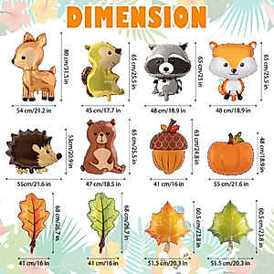 KUAOOAUK 12Pcs Forest Animal Balloons, Woodland Baby Shower Decorations, Birthday Party Decorations Animal Balloon, Safari Themed Animals Birthday Balloons, Balloon Animal Kit for Boys Girls Camper