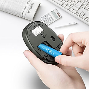 Deleepow AAA Rechargeable Batteries NiMH, 1100mAh High Capacity Pre-Charged Triple A Battery, 1.2V Low Self Discharge, Pack of 8