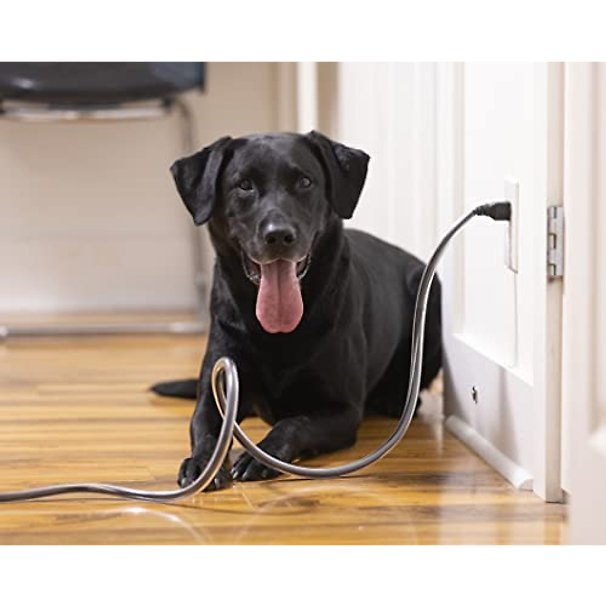 PetCords Dog and Cat Cord Pet Protector 10 FT, Protects Your Pets Through Insulated Cables up to 10ft, Pet and Critter Safety Device, Unscented, Odorless, Made and Designed in The USA