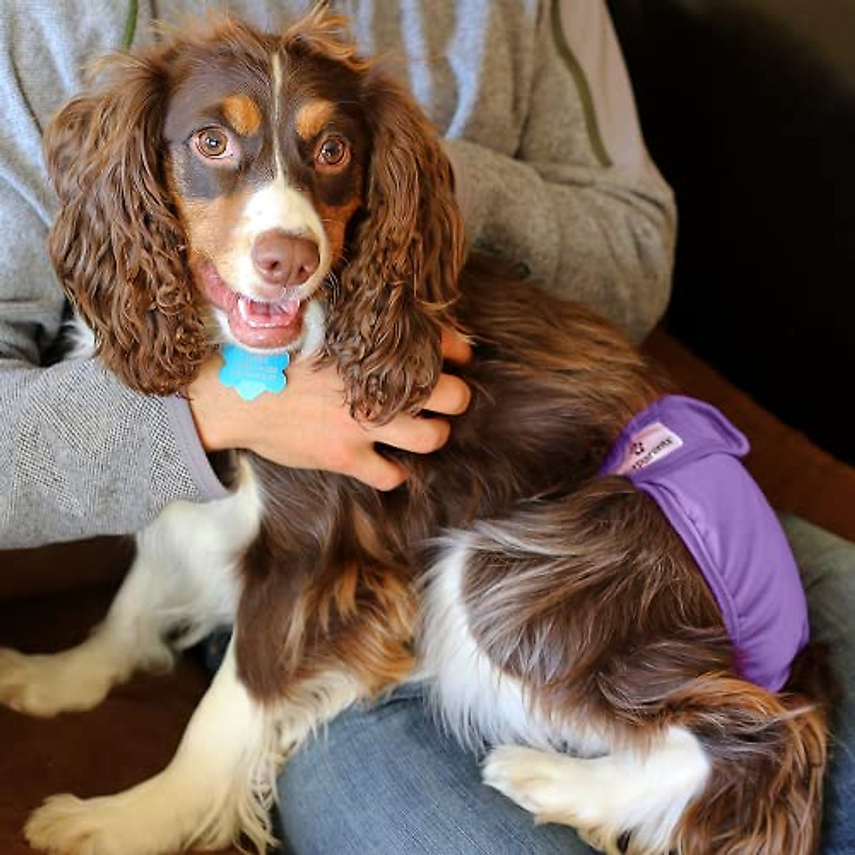 Pet Parents Premium Washable Dog Diapers & Extendrs, (3pack) of Female Dog Diapers, Color: Princess, Size: Extra Large Dog Diapers