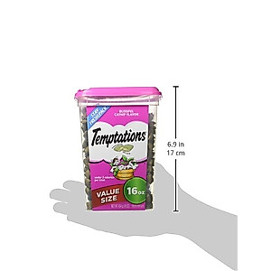 Temptations Classic Crunchy and Soft Cat Treats Blissful Catnip Flavor, 16 Ounce (Pack of 2)