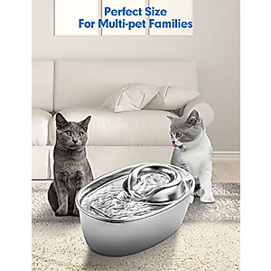WOPET F10 Cat Water Fountain Stainless Steel,67oz/2L Pet Water Fountain,Automatic Cat Water Dispenser,Cat Bowl,Dog Water Fountain,Dishwasher Safe for Cats&Dogs (F10)