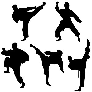 Amaonm Creative Vinyl Sport Taekwondo Wall Decor Taekwondo Player Silhouette Wall Decals Removable DIY Baby Nursery Bedroom Living Room Home Wall Stickers Murals Wall Art 17"x51"
