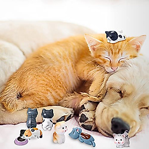 Jetec 19 Pieces Cute Miniature Garden Cats Landscape Lovely Mini Cats Figurines Fairy Garden Home Animals Kitten Adorable Mini Terrarium Figurine Ornament for Home Garden Decor Ornament Supplies