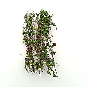 Realistic Miniature Vines Simulation Vine for DIY Mini Model Railway Fairy Garden Architecture Diorama Scenery Landscape Layout