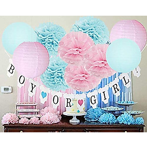 Gender Reveal Party Decorations BOY OR GIRL Banner Glitter Gender Reveal Cupcake Toppers Glitter Gold Pink Blue Triangle Garland Star Garland Tissue Paper Pom Poms Paper Lanterns for Baby Shower Party
