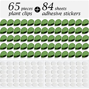 REMIAWY Plant Clips for Climbing Plants, 65 pcs Self-Adhesive Plant Climbing Wall Fixture Clips, Invisible Leaf Shaped Plant Vine Wall Clips for Hanging Indoor Outdoor Garden Plant Vegetable Support