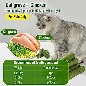 Hkpetie 30g Cat Grass Teething Stick, Delicious Cat Treat Snack Edible Cat Chew Toy for Teeth Cleaning and Hairball Removal in Cats