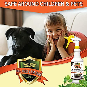 Natural Armor Natural Bug, Insect & Pest Killer & Control Including Fleas, Ticks, Ants, Spiders, Bed Bugs, Dust Mites, Roaches and More for Indoor and Outdoor Use, 128 oz Gallon Refill Case of 4