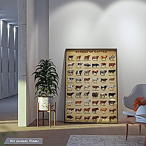 BASYEEO Breeds of Cattle Poster,Common Breeds of Beef and Dairy Cows, Animal Poster Farmhouse Wall Art Prints Unframed 12x18inch