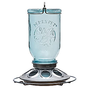 Perky-Pet 784 Mason Jar Wild Bird Feeder, No Size, Blue