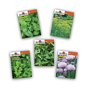Burpee Culinary Garden Starter Kit Packets, 5 Pots, 5 Coir Pellets & 5 Plant Markers Non-GMO Herb Seeds: Cilantro, Dill, Parsley, Sweet Basil & Chives