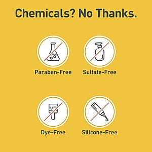 MopTop Detox Shampoo – Scalp Clarifying Shampoo for Build Up, Hard Water, Dirt & Oil, Sulfate & Paraben Free Hair Care for All Hair Types – Thin, Straight, Wavy, Curly & Coily (Citrus Medley, 2oz)