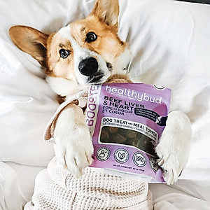 healthybud Hip and Joint Supplement Dog Treats - Glucosamine Soft Beef Liver Bites for Senior Dogs, Arthritis Support (4.6oz (2-Pack))