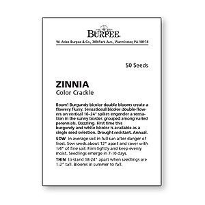 Burpee Color Crackle Zinnia Seeds 50 seeds