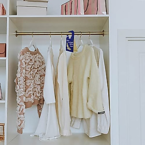 Redeo Clothes Moth Traps with Pheromones Non-Toxic and Odorless Sticky Glue Trap with Lure Clothing Moth Traps with Attractant for Closets and Carpet Indoor Moth Prevention, Safe for Kids and Pets (6)