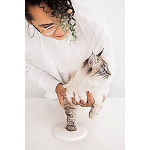 Pearhead DIY Pawprints Keepsake Kit for Dogs Or Cats, Christmas Ornament, Holiday Home Décor for Pet Lovers, Clay Paw Print Imprint, White