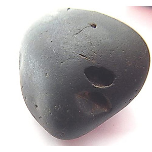 XUETZALCOATL Padmanabha Damodara Shaligram Sudarshan Shaligram 1.5cm - 2.5cm from Kali Gandaki 1 pcs