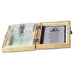 Konus 4881 Set 10 Slides Plants Reproduction - 10 Slides