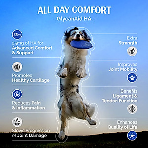 TopDog Health GlycanAid HA Advanced Joint Nutrition for Dogs (150 Chewable Tablets) Made in USA with USA Ingredients: Glucosamine HCL, Chondroitin, Hyaluronic Acid, MSM