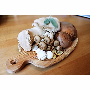 Malt Extract Agar (MEA) Dehydrated, 100 grams