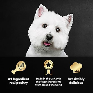 CESAR Adult Wet Dog Food Classic Loaf in Sauce Poultry Variety Pack,. Easy Peel Trays with Real Chicken, Turkey or Duck, 3.5 Ounce (Pack of 24)