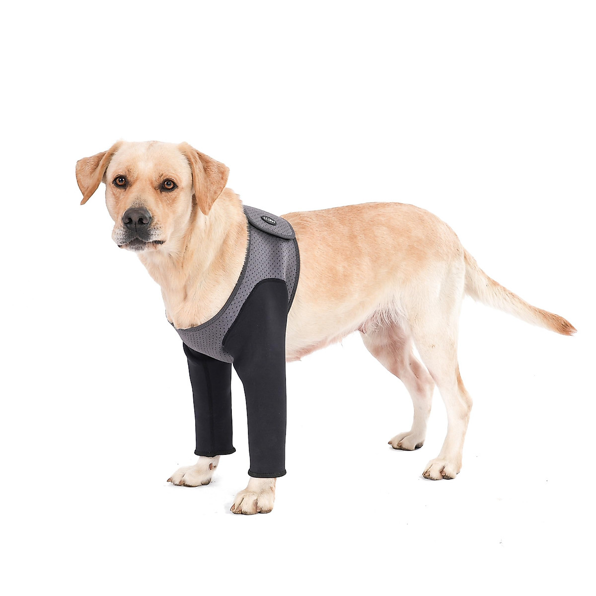 Dog Sleeves for Wounds Both Front Legs，Cone Collar Alternative, Abrasion Resistant Dog Recovery Sleeve, Washable 2.5mm Thick and Waterproof, Breathable Pet Wounds Prevent Licking, Bite Grey (Large)