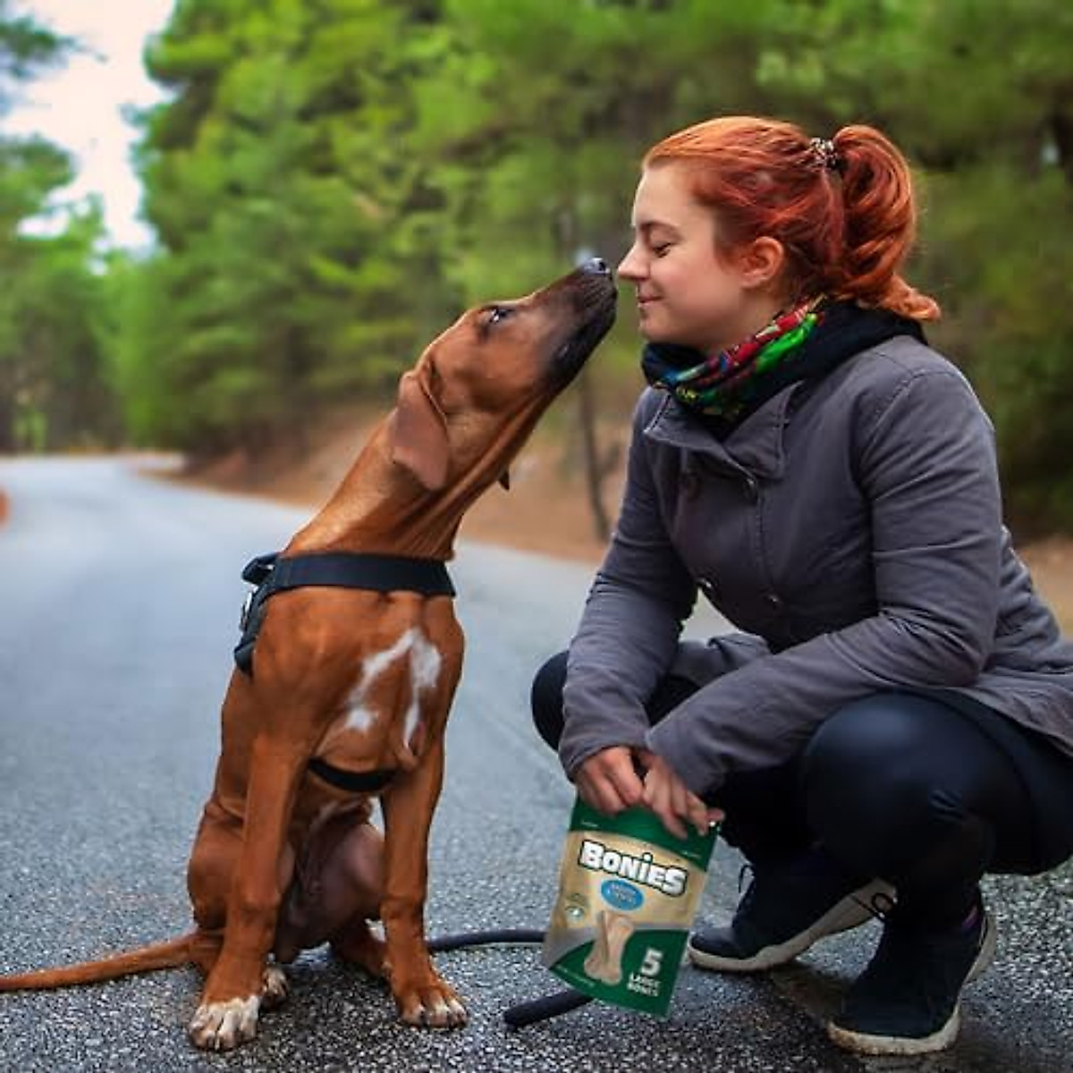 Bonies Natural Breath and Dental Formula Treats for Dogs, Made in USA - All Natural - Freshens Breath - Low Calories - for Dog Chicken Flavor, 20 Mini Bones