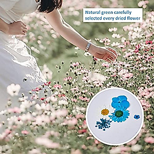 150 Pieces Real Dried Pressed Flowers for Craft Supplies & Materials,Dried Flowers for Resin Molds Silicone Kit Bundle,Scrapbook Supplies,Soap Making