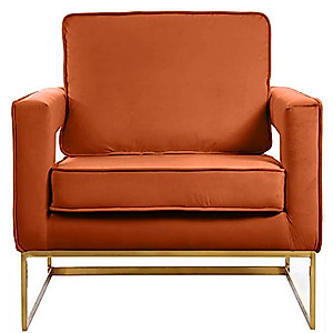 Meridian Furniture Noah Collection Modern | Contemporary Velvet Upholstered Accent Chair with Durable Stainless Steel Base, 33.5" W x 29.5" D x 35.5" H, Cognac