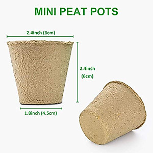 GROWNEER 60 Packs 2.4 Inch Peat Pots Plant Starters for Seedling with 25 Pcs Plant Labels, Biodegradable Herb Seed Starter Pots Kits, Garden Germination Nursery Pot