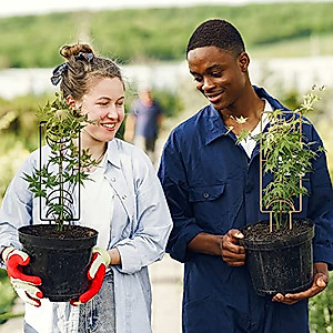 2 Pack Metal Plant Trellis for Climbing Plants Indoor,14 Inch Garden Small Trellis for Potted Plants,Moon Phase Houseplant Trellis for Pothos Monstera(Gold)