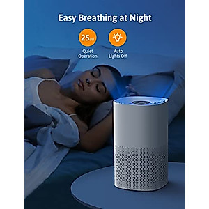 Air Purifiers with H13 HEPA Air Filter, Air Purifier for Large Room up to 430 ft², Pollen Smoke Allergen Pet Dander Hair Dust Air Cleaner, CADR 400 m³/h, Auto Mode, Timer, Air Quality Sensor, AP005