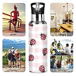 xigua Ladybug Water Bottle Double Walled Stainless Steel Leak Proof Thermo Flask for Sports Gym Cycling Outdoor,20 oz.