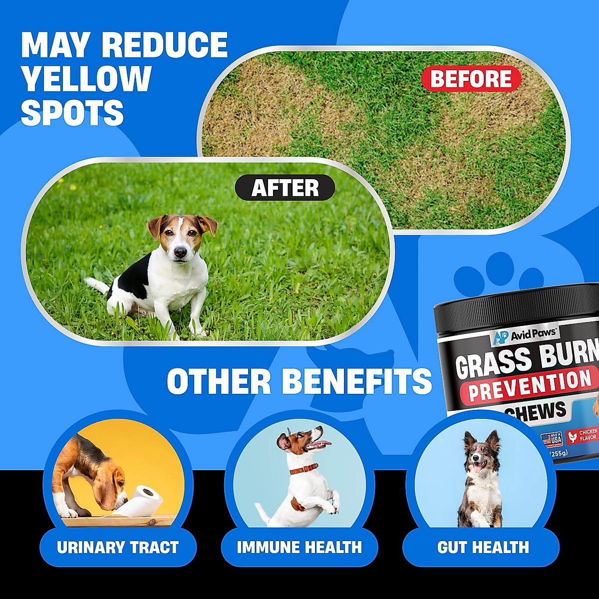 Dog Urine Neutralizer for Lawn - Green Grass Dog Chews Helps Lawn Burn from Dog Urine - Dog Pee Grass Neutralizer - Grass Savers for Dog Urine - Dog Rocks Alternative - Urinary Tract & Bladder Support