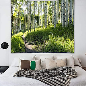 YISURE Forest Wall Tapestry Nature Tree Trail Path Landscape Wall Hanging, Morning Sunshine Through Green Tree Wall Tapestries for Home Office Indoor and Outdoor Decor, 80(W) x60(L) Inch
