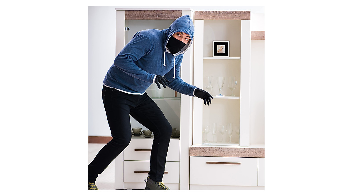 Conceal-a-Cam Home Security Camera Enclosure - White | Keeps Cameras Hidden