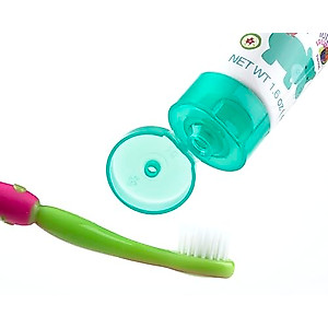 Dr. Talbot's Toddler Training Toothpaste Naturally Inspired with Citroganix, with Toothbrush Included, Pink/Green, 1.6 Ounce