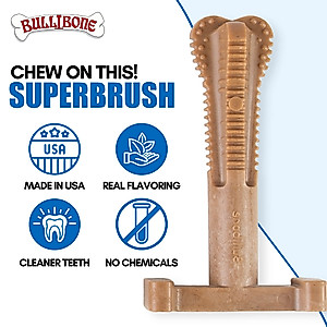 Bullibone SuperBrush: Dog Teeth Cleaning Brushing Toothbrush Stick - Long Lasting Nylon Apple Cinnamon Chew Toy for Oral Care and Dental Health