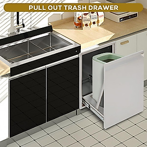 biosp Built-in Pull Out Trash Bin Propane Tank Drawer 19"" W x 27"" H x 16"", Outdoor Kitchen Lower Sliding Rails Stainless Steel Tray Storage for BBQ Island, Patio, Lawn, Garden, Yard, silver